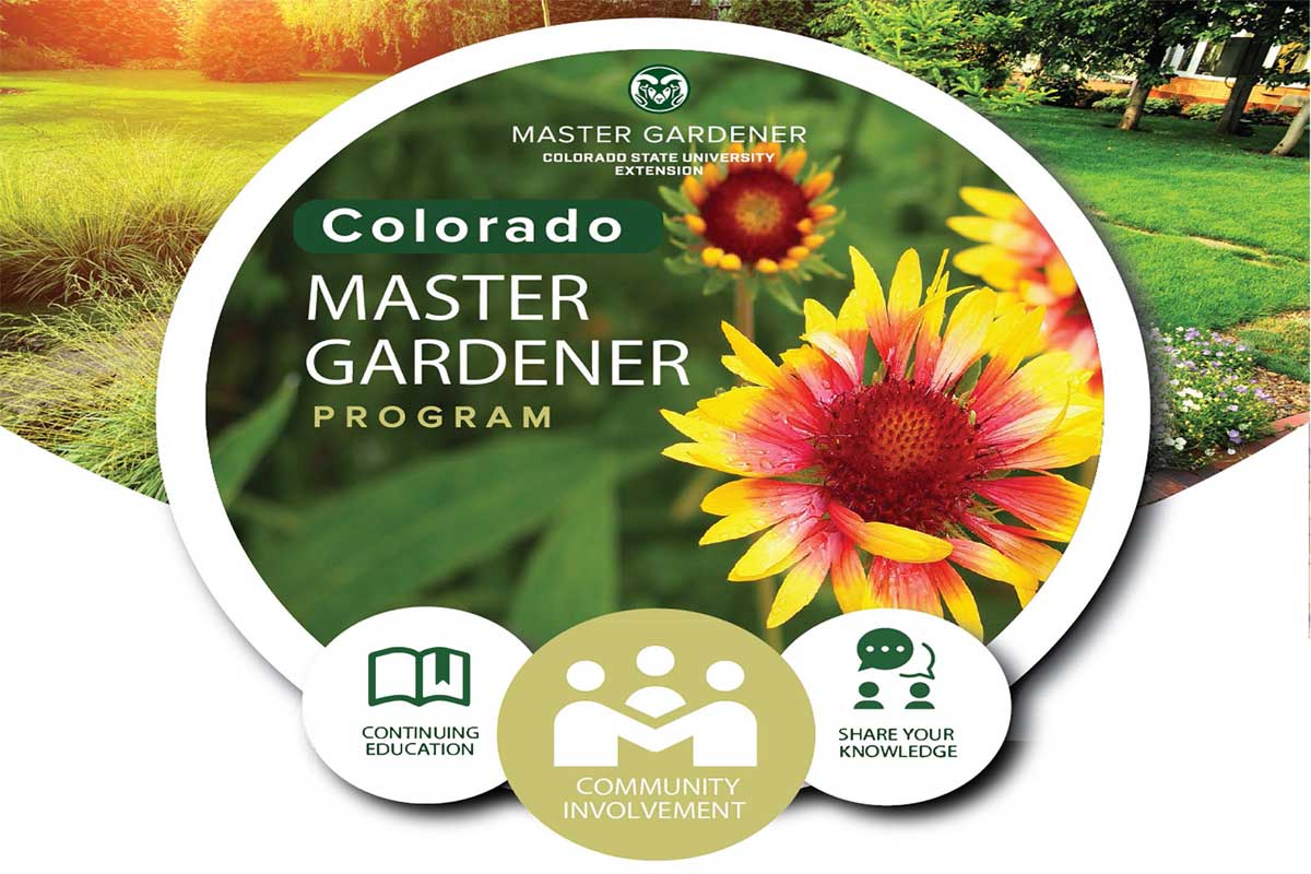 Growing The Next Generation | Programs for teachers | CSU Master ...